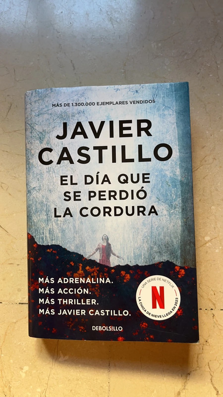 Libro: El día que se perdió la cordura - Javier Castillo | Vinted Libro: El día que se perdió la cordura - Javier Castillo | Vinted