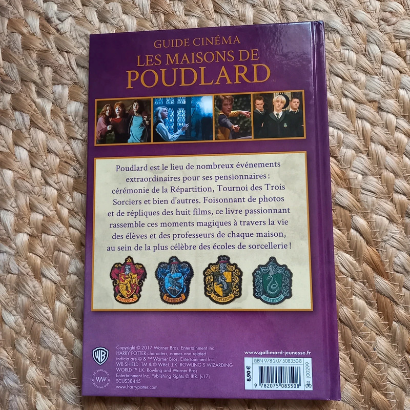 Les Maisons De Poudlard Guide Cinéma Vinted
