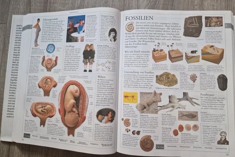 Das Visuelle Lexikon - Das Lexikon Bertelsmann - Nachschlagewerk | Vinted Das Visuelle Lexikon - Das Lexikon Bertelsmann - Nachschlagewerk | Vinted
